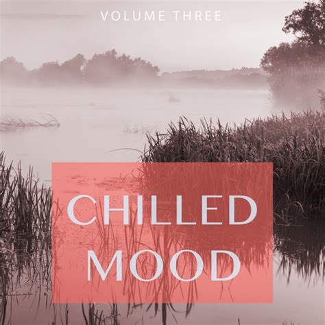 Pure Relaxation Youtube Music