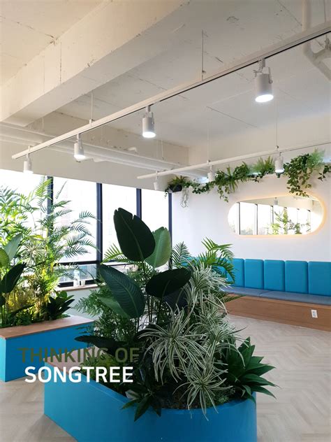 Songtree 송트리 떡갈 나무 조경 인테리어