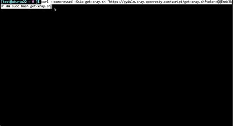在 Ubuntu 上安裝 Openresty Xray 的 Agent（使用 Apt 包仓库） Openresty 官方博客