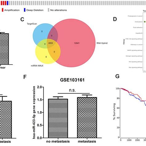 the bioinformatics discovery of breast cancer non coding rna
