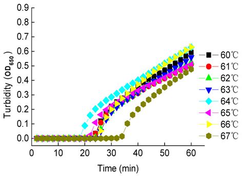 Rapid Detection Of Clostridium Botulinum In Food Using Loop Mediated Isothermal Amplification