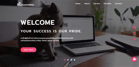 Web Develop Htmlcssbootstrapjs Phplaravelreactvue Node