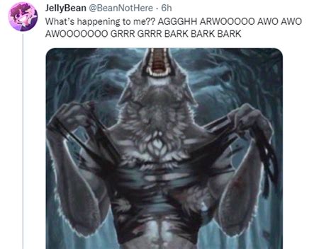 Send Random Memes Fandom