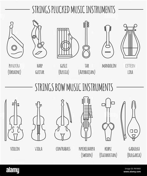 Musical Instruments Graphic Template Strings Plucked And Bow Vector Illustration Stock Vector