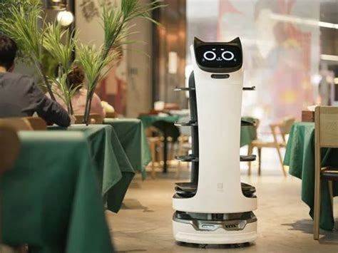 普渡机器人获得 Iso 13482机器人安全及 Iso 13849功能安全双重认证