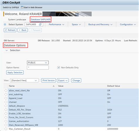 Sap Ilm With Sap Iq Database Sap Community
