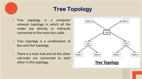assignment assignment a 2 topology pptx