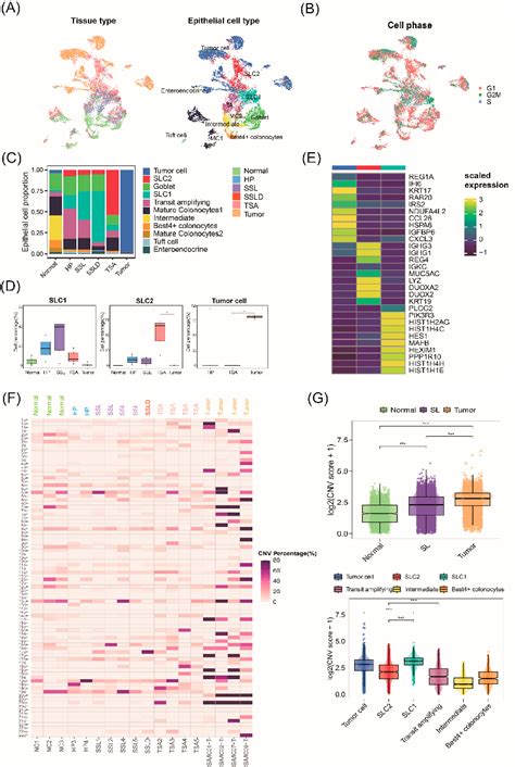Figure 2 From Single Cell Transcriptomics Reveals Cellular Heterogeneity And Drivers In Serrated