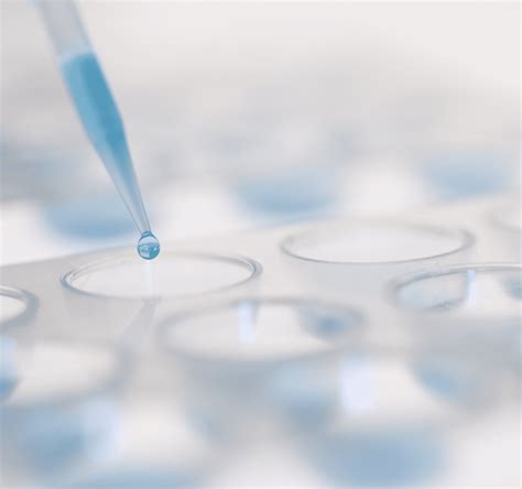 Apoptosis Assays Araceli Biosciences