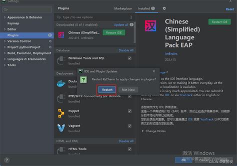 Pycharm汉化教程 CSDN博客