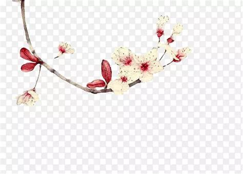 树枝花朵png图片素材下载 图片编号qolajeky 免抠素材网