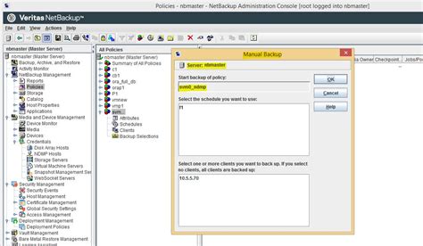 Remote Infrastructure Management NetBackup NDMP Backup Configuration NetApp ONTAP