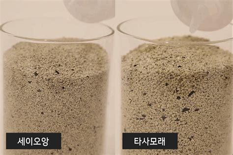 고양이 벤토나이트 모래 원산지와 종류를 잘 봐야 하는 이유 비마이펫