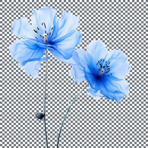 Premium Psd Blue Iris Flower
