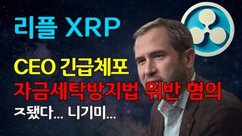 리플 Ceo 갈링하우스 긴급 체포 영장 발부 하 Youtube