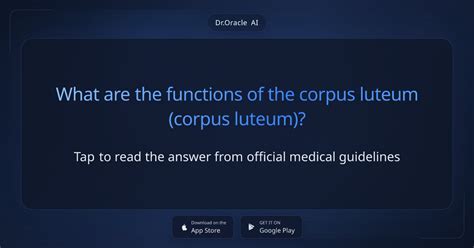 What Are The Functions Of The Corpus Luteum Corpus Luteum