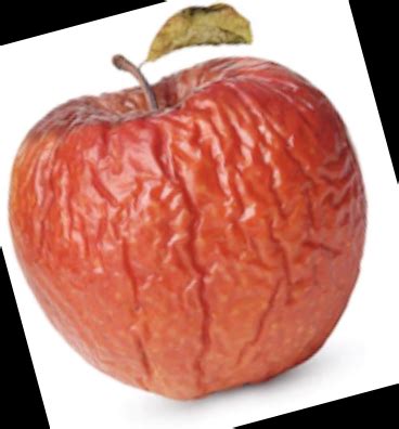 Fruit Defect Detection Object Detection Dataset By Manohar Singh Rajawat