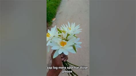 Kamal Ka Phul Haii Youtube