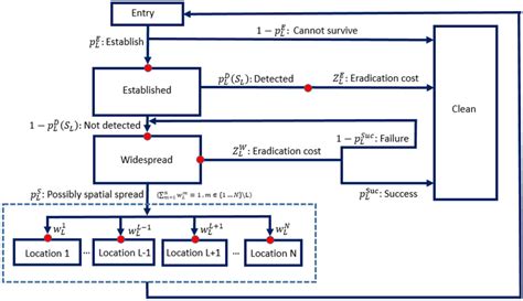Post Border Spatial Dispersal Modelling¹⁰ After An Individual Invasive Download Scientific