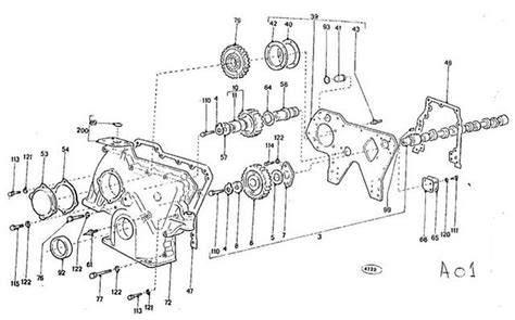 Arbore Cu Came U Baza Agricola Simeriabaza Agricola Simeria