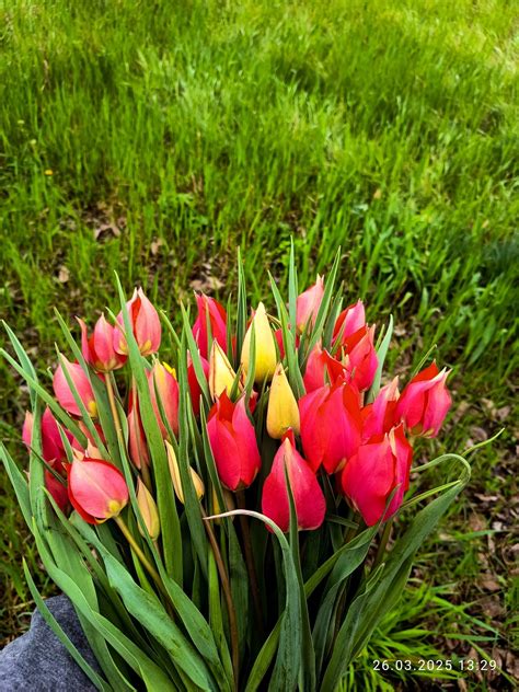 Не ходим често на почивки с мъжа ми но понякога ме води на райски места 🌷 ️👩‍ ️‍👨