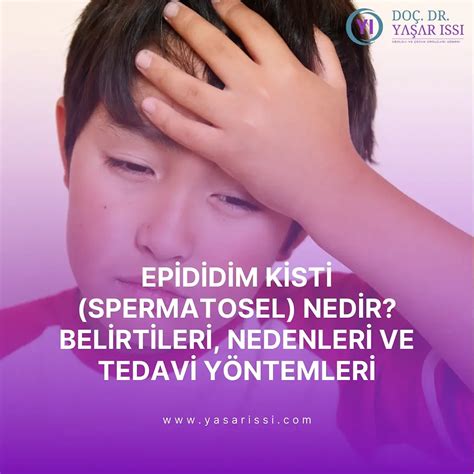 Epididim Kisti Spermatosel Nedir Belirtileri Nedenleri Ve Tedavi