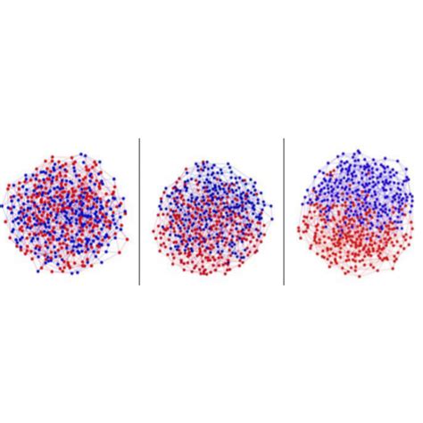 the complex social system of segregation figure from cortez and rica