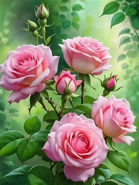 🥰🥰🥰 Beautiful Nature Scenes Beautiful Scenery Nature Beautiful Nature