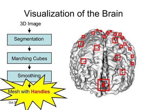 Open Topology A Toolkit For Brain Isosurface Correction 776 Ppt