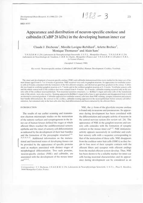 Pdf Appearance And Distribution Of Neuron Specific Enolase And