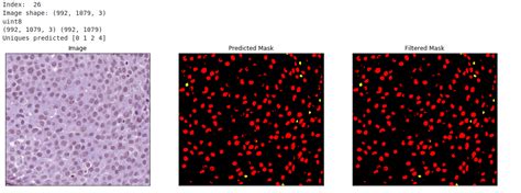 Blas Gemm Launch Failed · Issue 17 · Hasibzunairmonusac Isbi 2020 · Github
