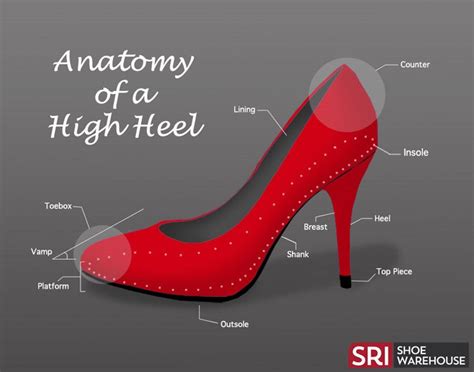 Shoe Heel Descriptions At Liam Threlfall Blog