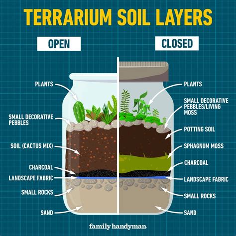 How To Make A Terrarium Diy Terrarium Cover