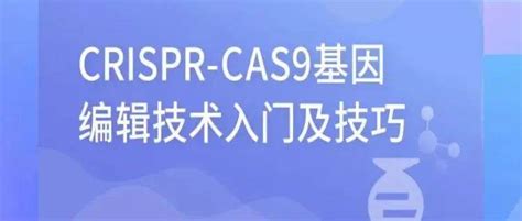 Crispr Cas9基因编辑技术入门及技巧汇总 细胞 兴趣 课程