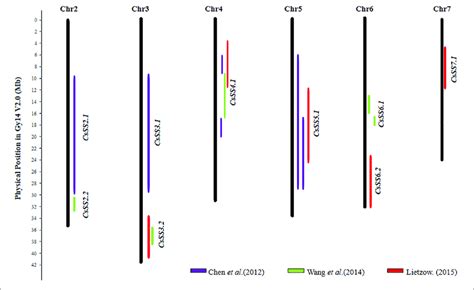 Distribution Of 9 Seed Size Ss Consensus Qtl In The Cucumber Gy14 Download Scientific