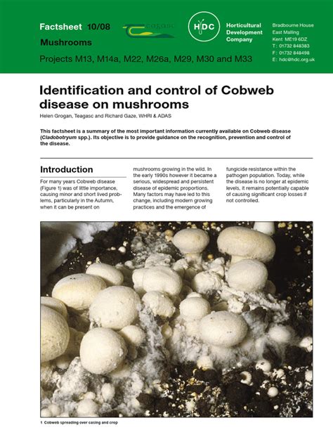 identi cation and control of cobweb disease on mushrooms pdf
