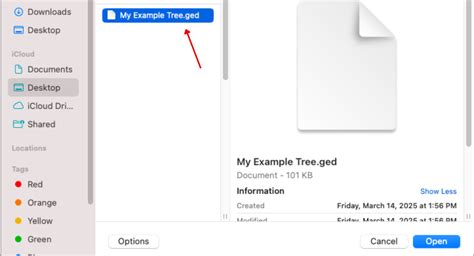 How To Turn Your Gedcom File Into A Stunning Print Mycanvas Blog