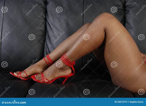 Legs Stock Image Image Of Foot Beauty Curve Feminine 2027579