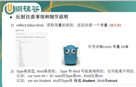 go语言学习笔记16 序列化 andand 反射 反射复制结构体好还是序列化方式好 go csdn博客