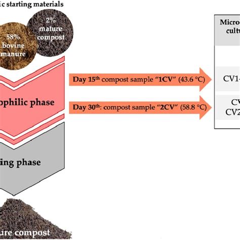 Composting Scheme And Experimental Design Of Microbial Isolation Of