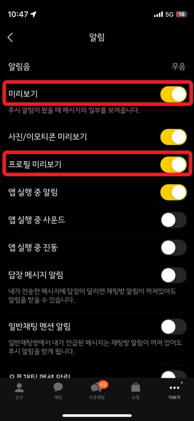 카톡 메시지 알림 이름 안뜨게 설정하기 아이폰