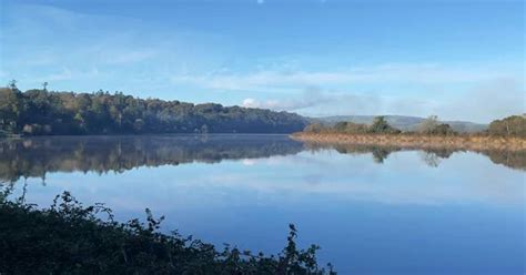Ранним утром зимние тени и стоячие воды на реке Шур Ирландия Стоковое видео Envato Elements