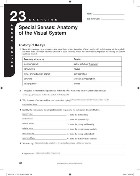 Special Senses Anatomy Of The Visual System