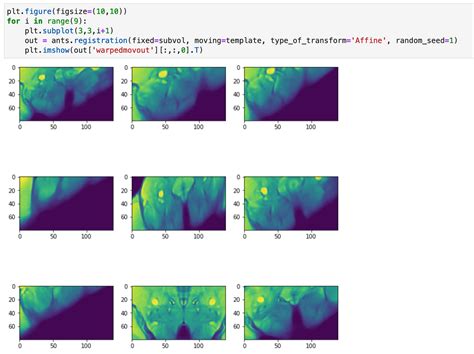 registration is not deterministic · issue 378 · antsx antspy · github