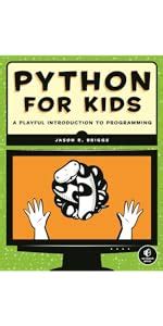 Python Flash Cards Syntax Concepts And Examples Matthes Eric Amazon Books