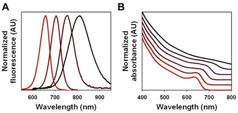 8 Type Ii Core Shell Cdtecdse Quantum Dots Synthesized In A One Pot