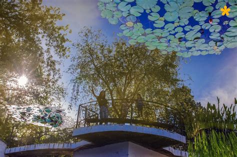 ბოტანიკური ბაღი