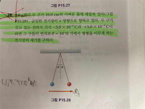 일반물리학 전기장 지식in