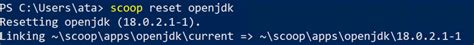 how to install and use the scoop windows package manager