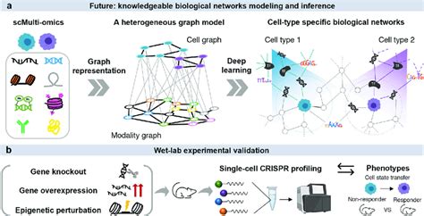 deep learning modeling and wet lab validations for scmulti omics data
